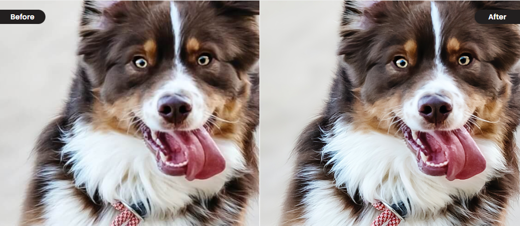 Design Basics: Zooming Into Image Upscaling | UPrinting