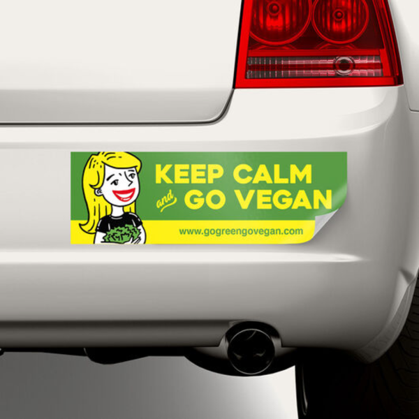 Custom bumper stickers cheap store